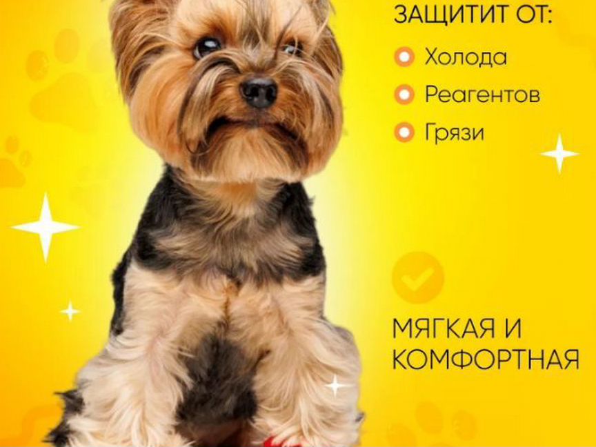 Йоркширский терьер