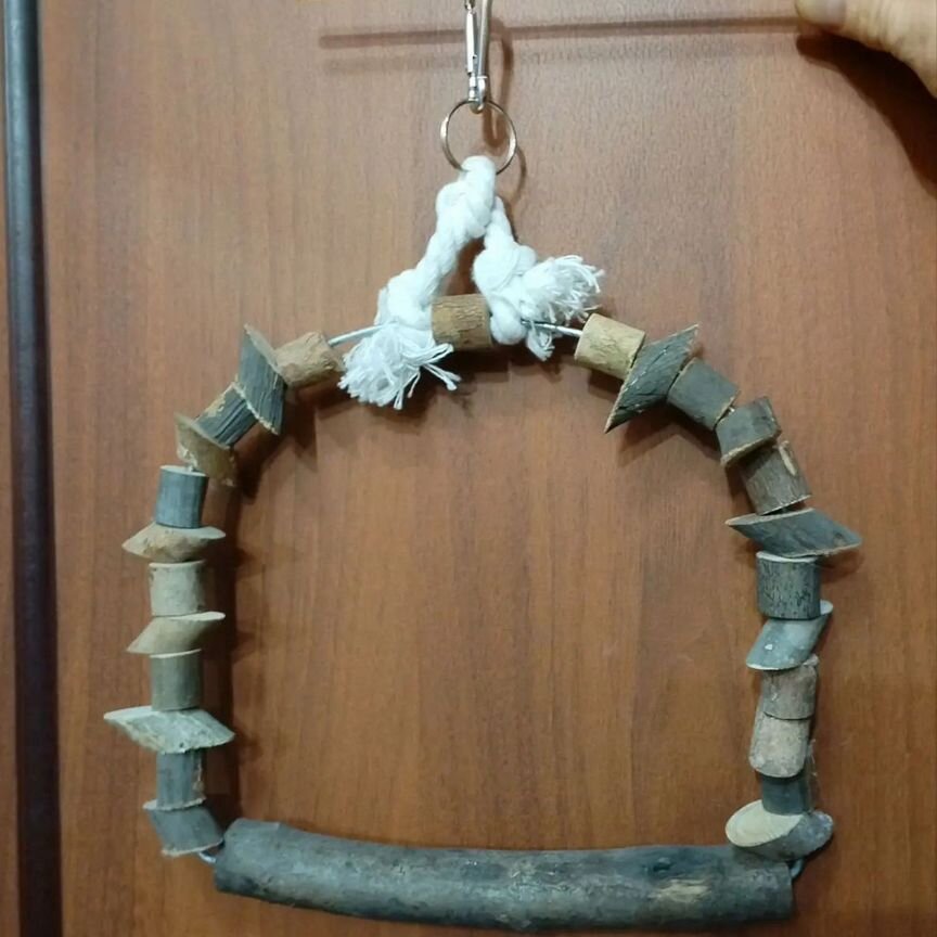 Волнистый попугай