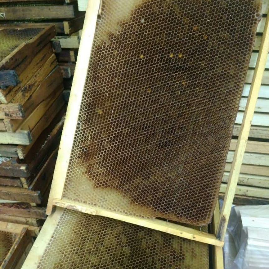 Продаётся сушь