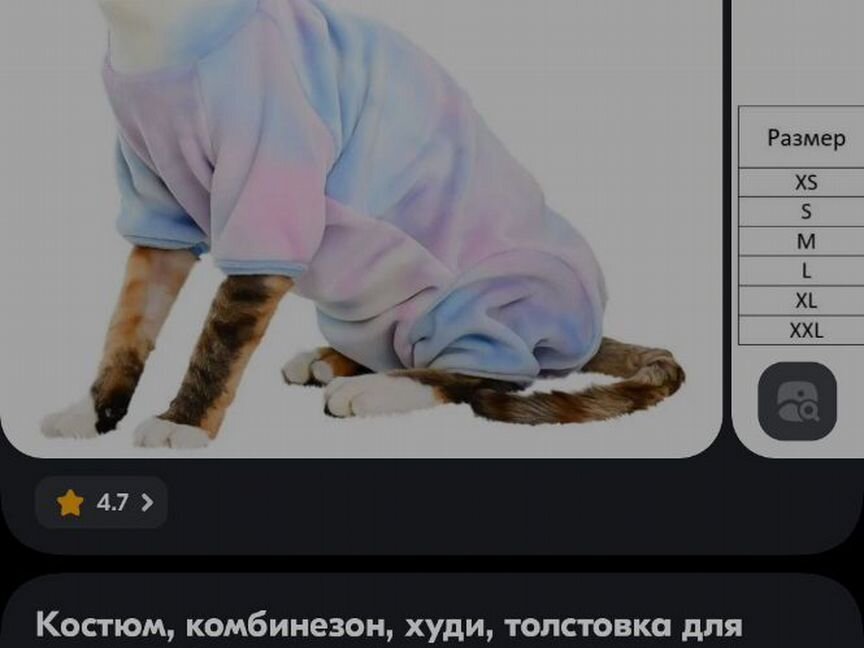Одежда для кошек сфинкс