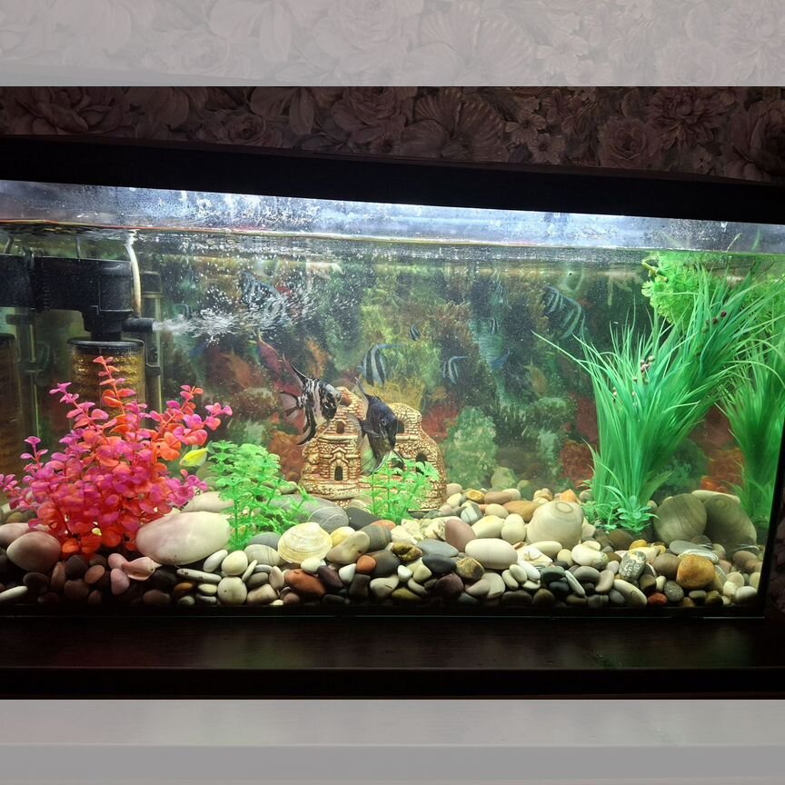 Продам аквариум