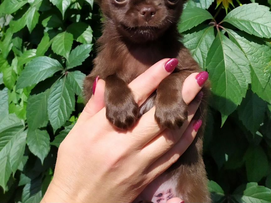 Неземной красоты девочка