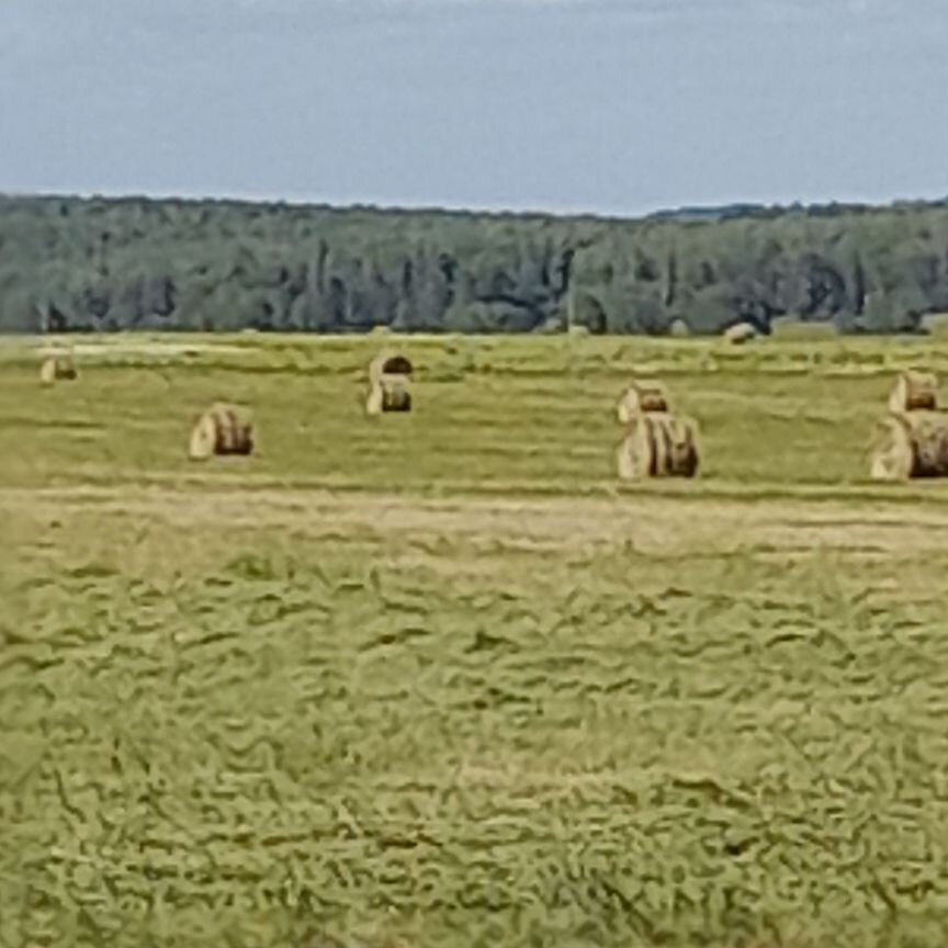 Сено,Солома в рулонах