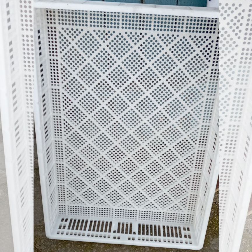 Инкубатор для яиц