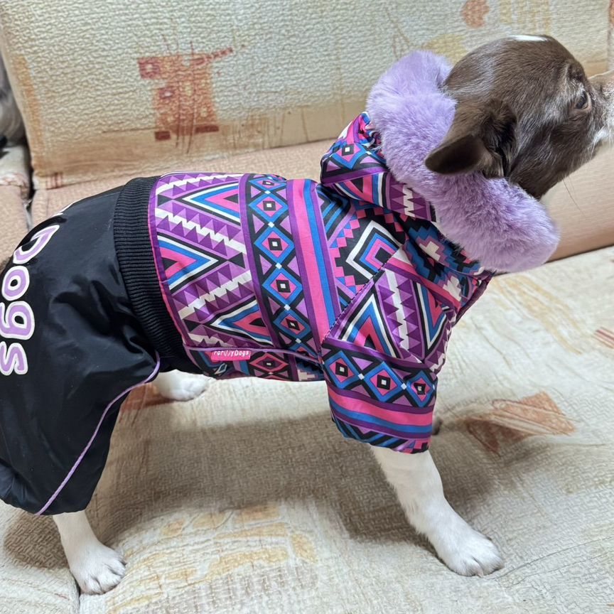 Зимний комбинезон для маленькой собачки