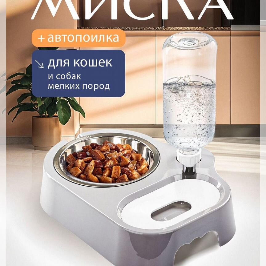Миска