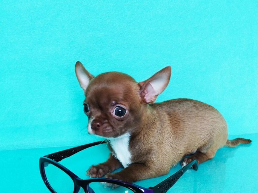 Малышка очаровашка