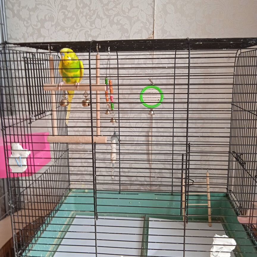 Большая клетка для птиц