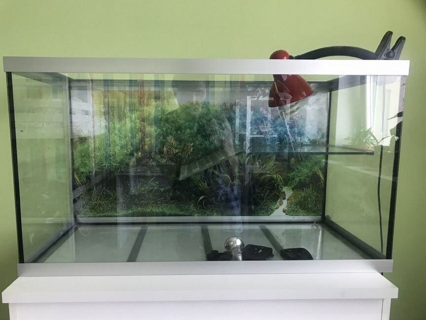 Аквариум для красноухой черепахи 145 литров