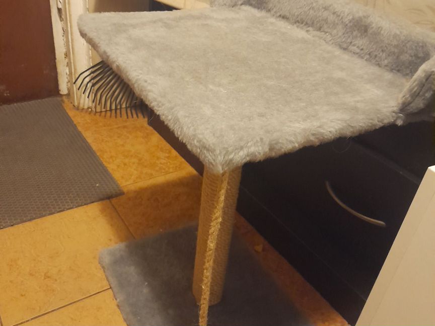 Аксессуары для кошек