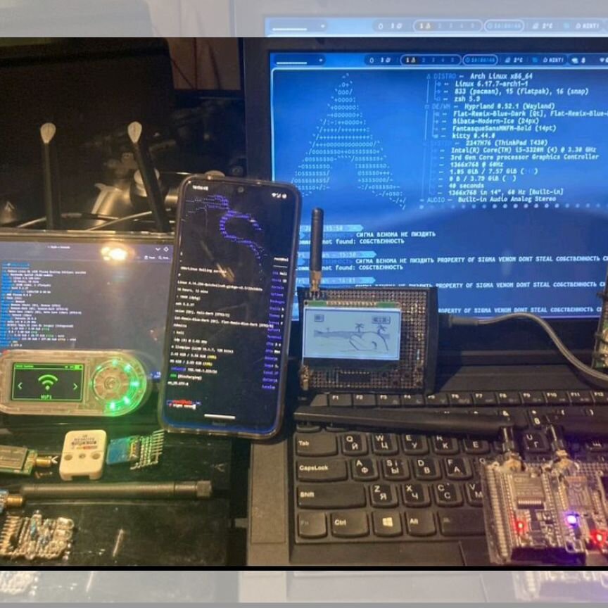 Дельфин Пак