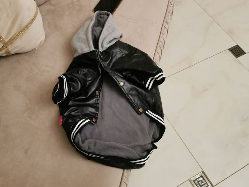 Одежда для собак