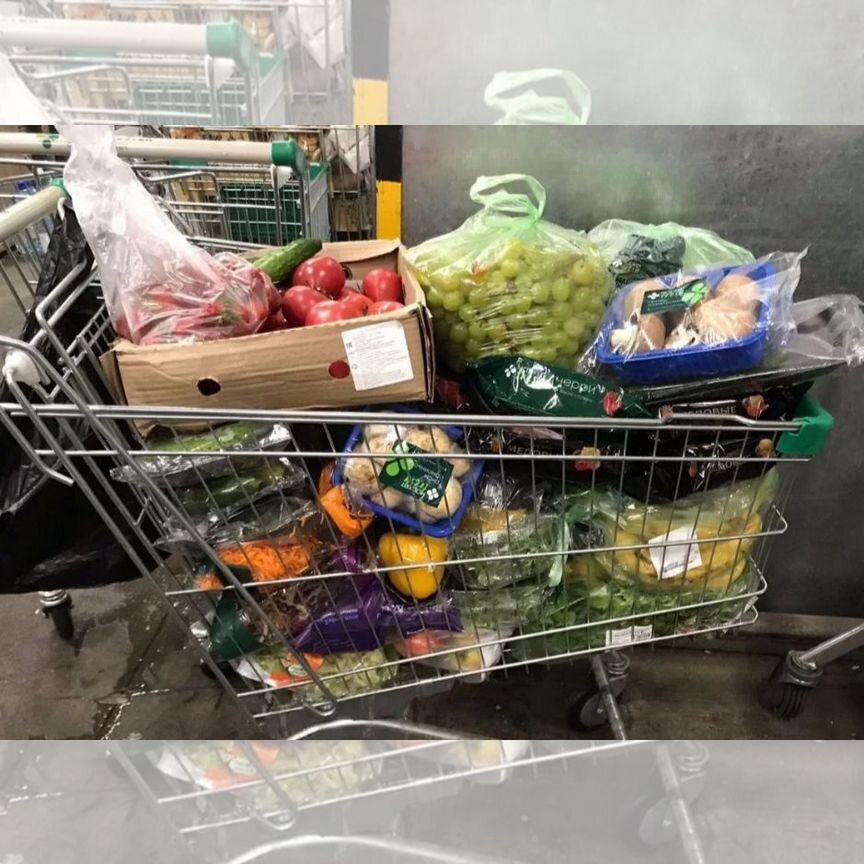 Пищевые продукты, еда для животных