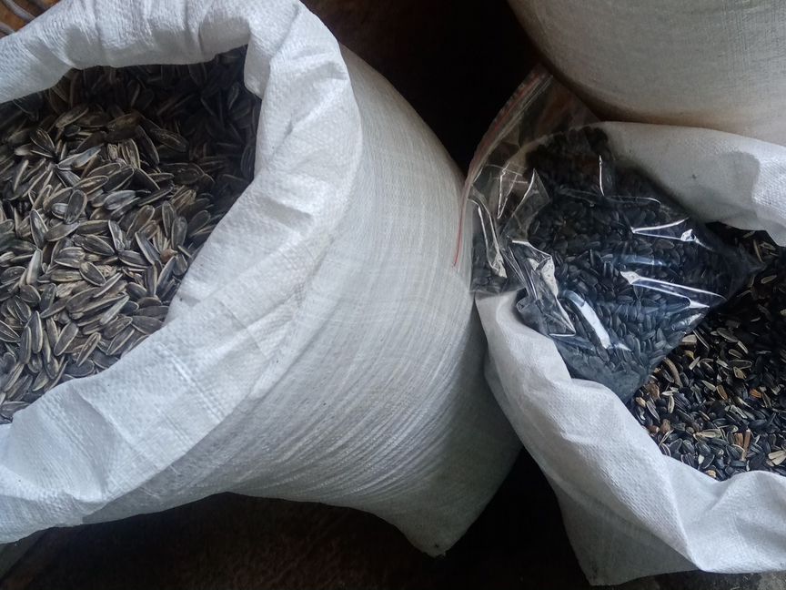 Семечки подсолнечника Семена подсолнечника на Корм