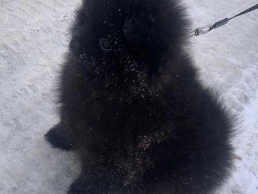 Мальчик,5 мес Продам
