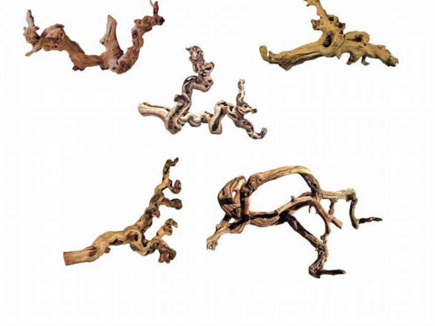 Коряга виноградная для террариума