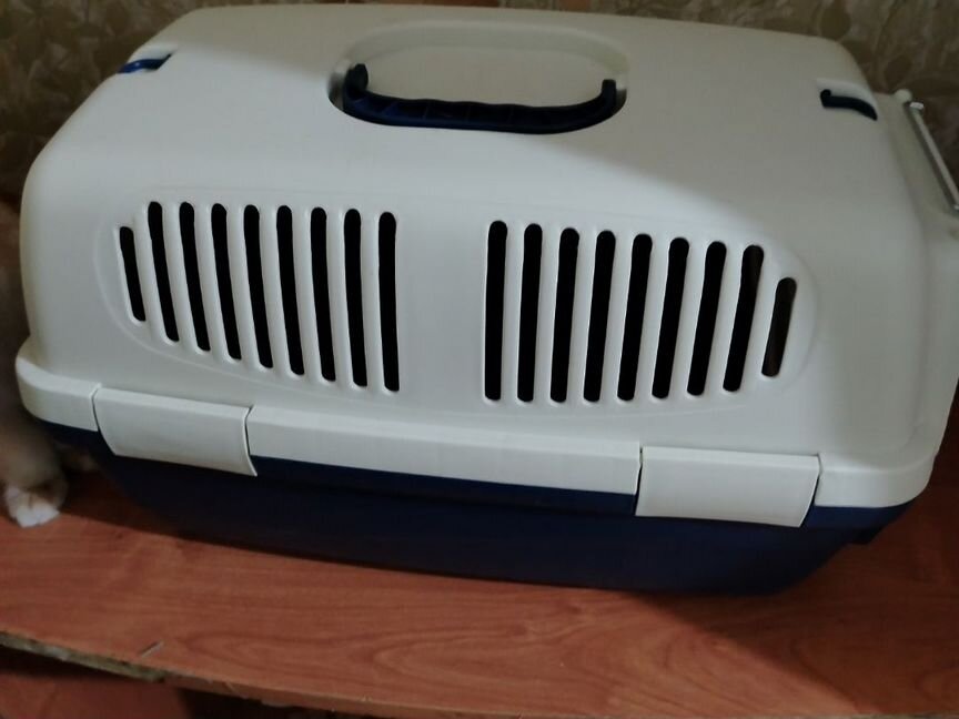 Переноска для кошек пластиковая бу