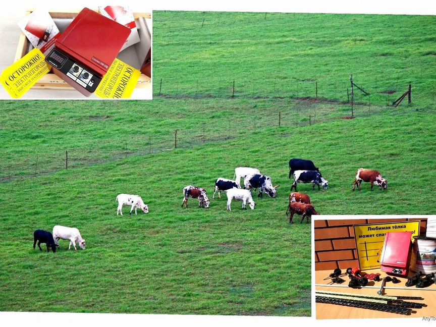 Электропастух