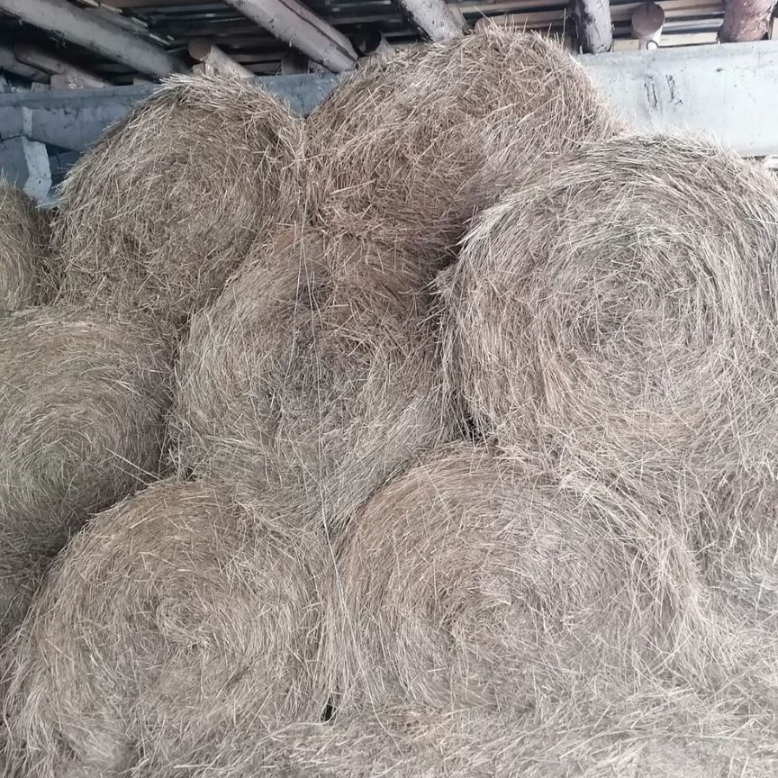 Сено ангарного хранения