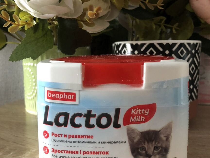 Заменитель кошачьего молока