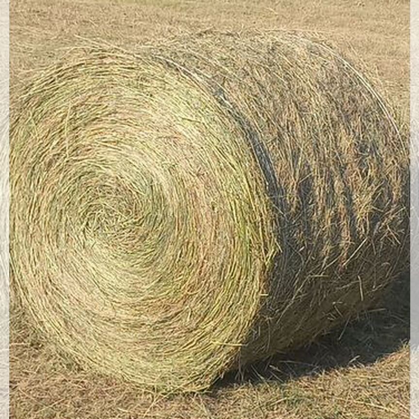 Сено в рулонах