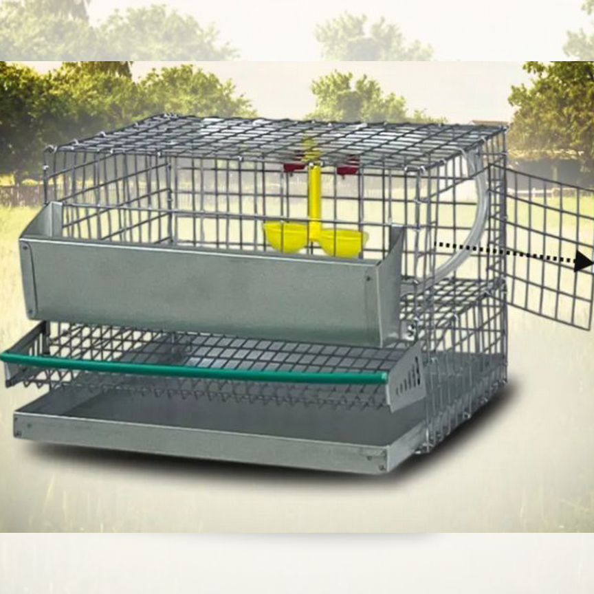 Клетка на 10 голов