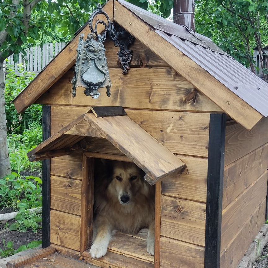 Шикарный собачий дом (будка)