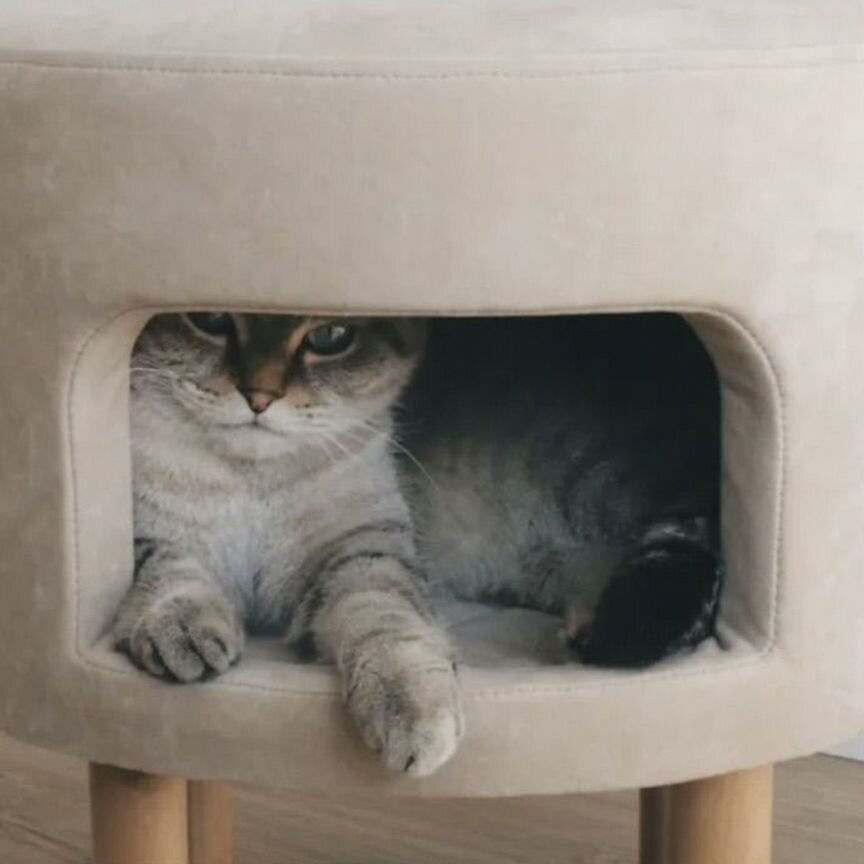 Домик для кошек
