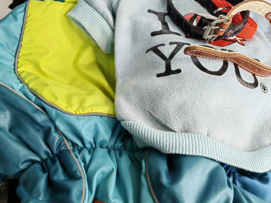 Отдам бесплатно вещи для собаки