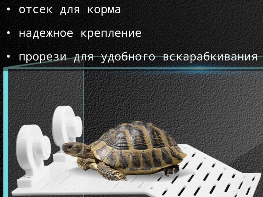 Аквариум для черепахи с мостиком