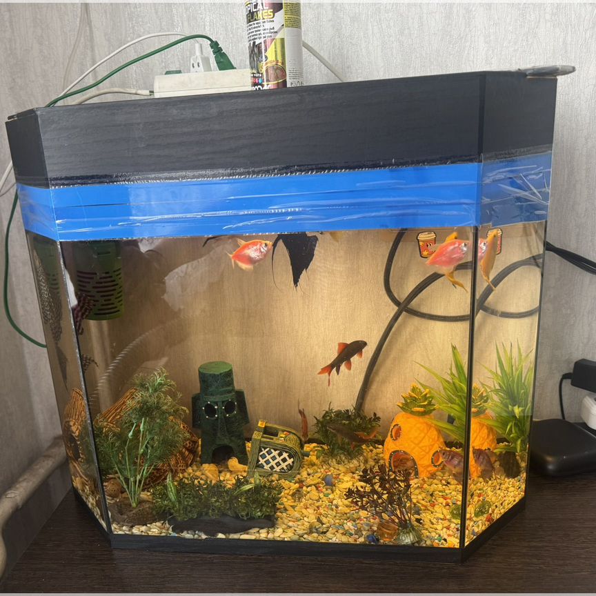Аквариум на 60 литров