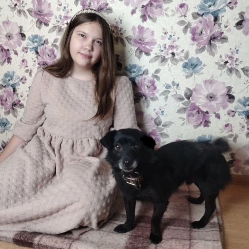 Маленький песик Изюм