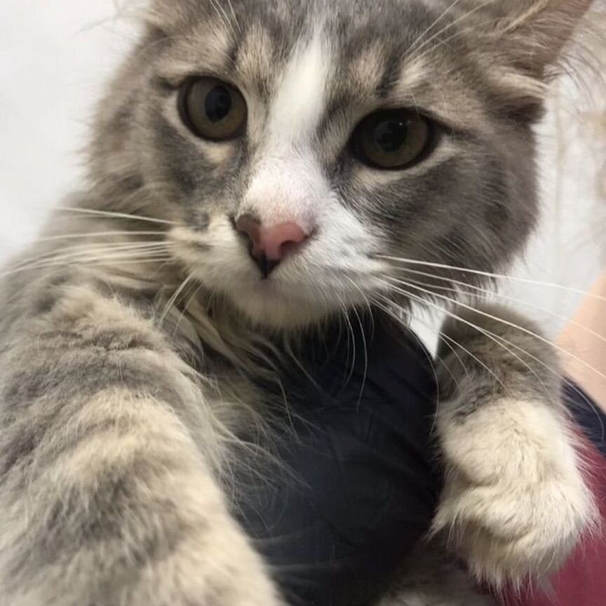 Заберите малыша он ждет вас