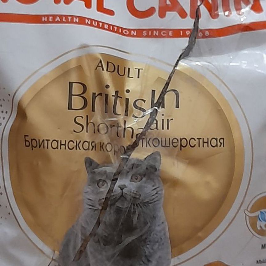 Royal canin корм для британских кошек