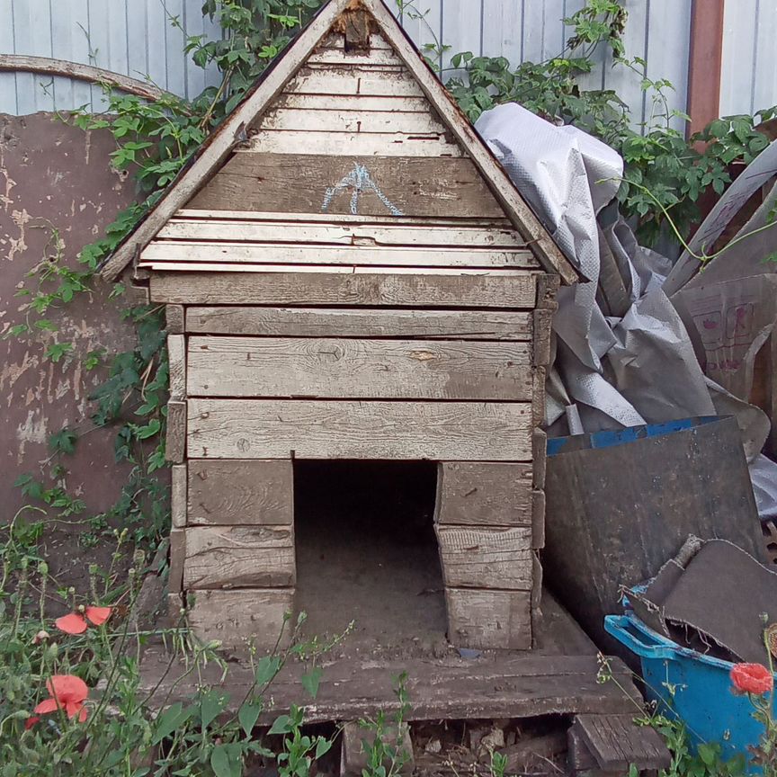 Будка для собаки