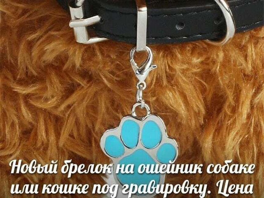 Гравировка на жетоне для собак и кошек