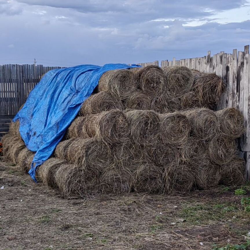 Продам сено в тюках