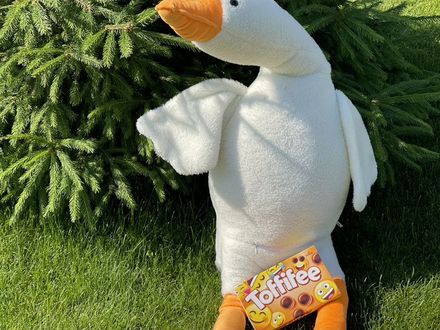 Гусь обнимусь 160 белый