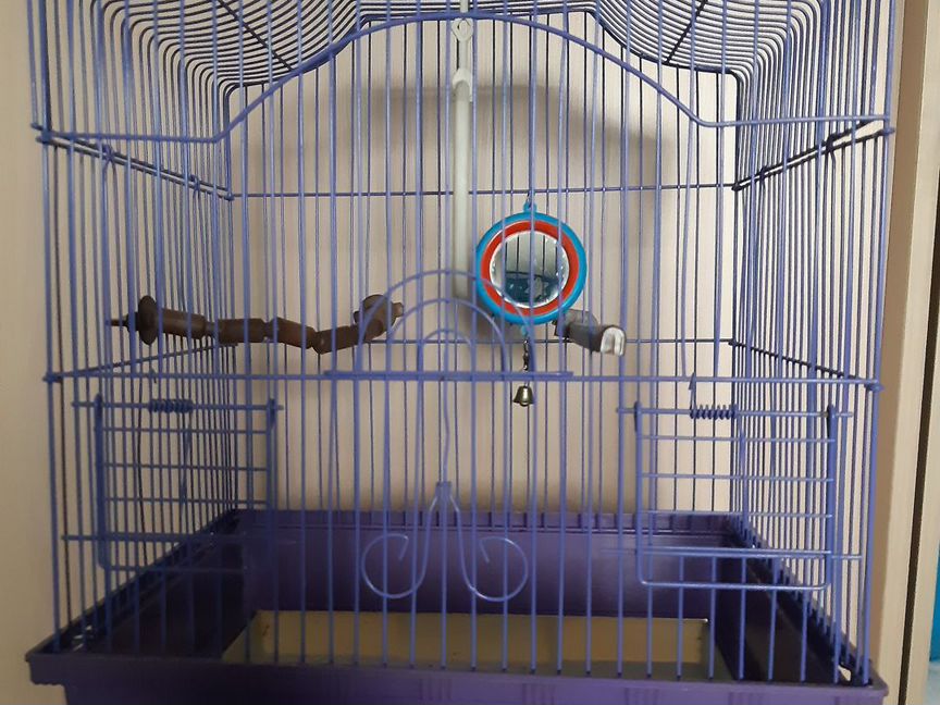 Клетка для попугая