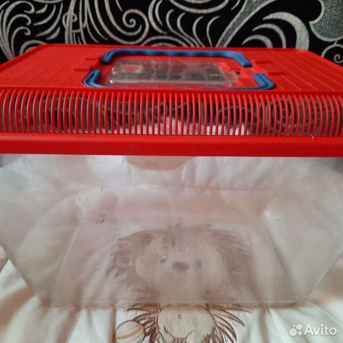 Контейнер переноска аквариум