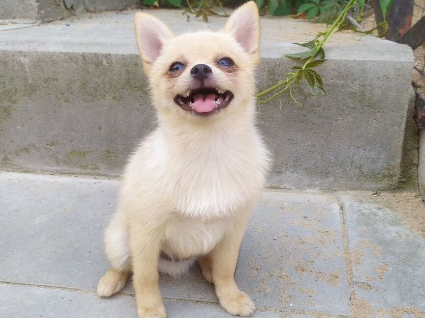 Очаровательный мальчик