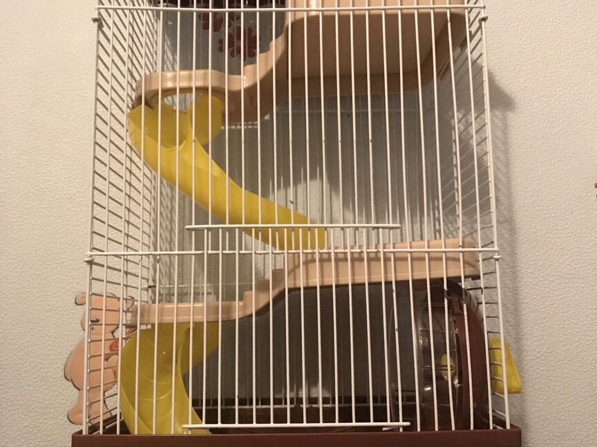 Клетка для грызунов бу