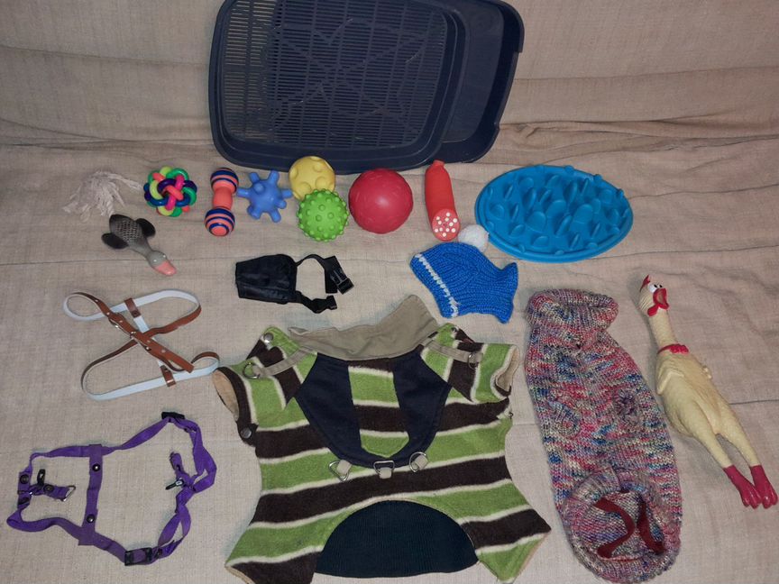 Товары для домашних животных