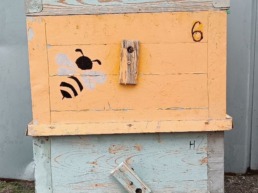 Улей 12 рамочный