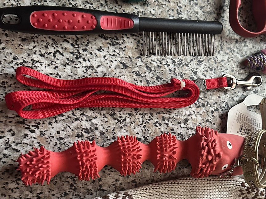 Набор вещей для маленькой собачки 10 штук