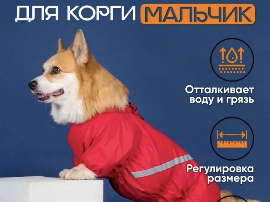 Комбинезон грязезащитный для кобеля Корги размер М