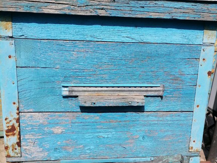 Улей и подушка