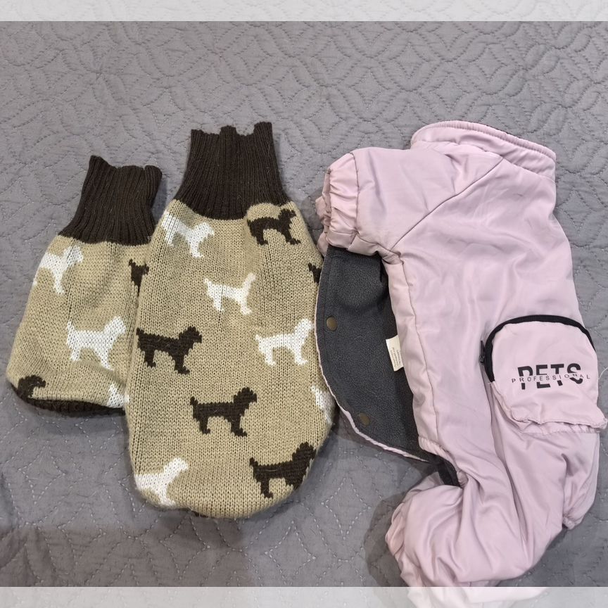 Одежда для собак