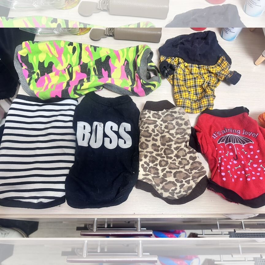 Пакет вещей для котенка или щенка