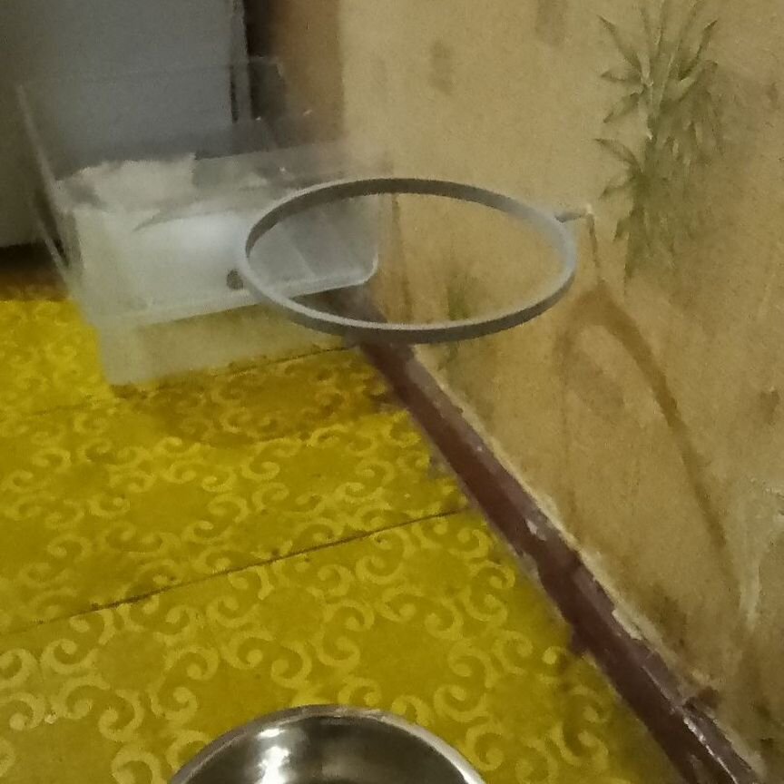 Миска для кормления собак, 1,9литра 220мм